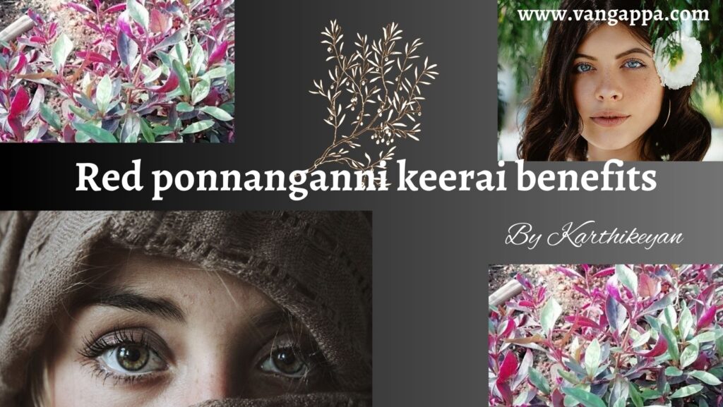 Red ponnanganni keerai benefits - Vangappa
