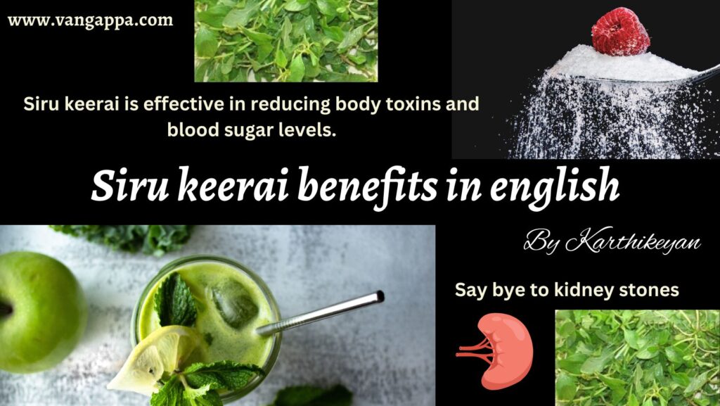Siru keerai benefits in English - Vangappa