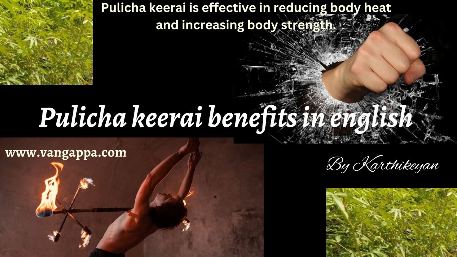 Pulicha keerai benefits in English - Vangappa