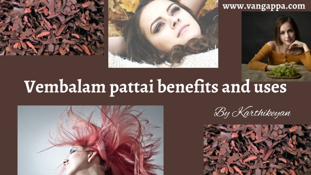 Vembalam pattai benefits and uses - Vangappa